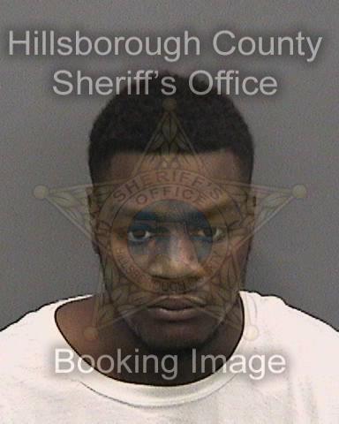 DERRICK LEONARD JR YOUNG of TAMPA booked for