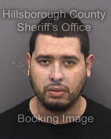 EDWIN ROBERTO TIRADO of TAMPA booked for