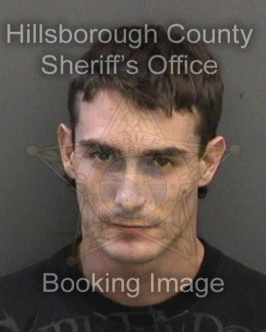 HUNTER DILLON HENDERSON of TAMPA booked for