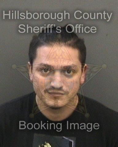 JORGE LEANDRO AMADOR of TAMPA booked for