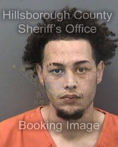 ROBERT ADDIEL APONTE of TAMPA booked for