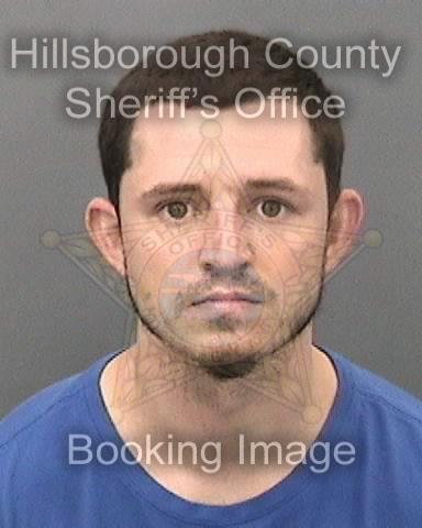 STACY G JR WILLIAMS of THONOTOSASSA booked for