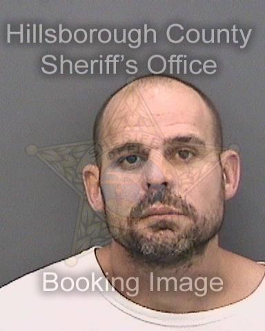 STEPHEN EUGENE WILLIAMS of RIVERVIEW booked for