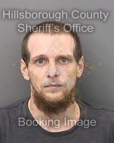 THOMAS RAY SWITZER of THONOTOSASSA booked for