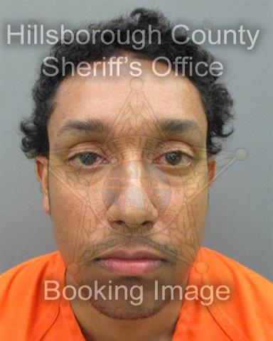 ALEXIS ANDRES VASQUEZ of LAKELAND booked for