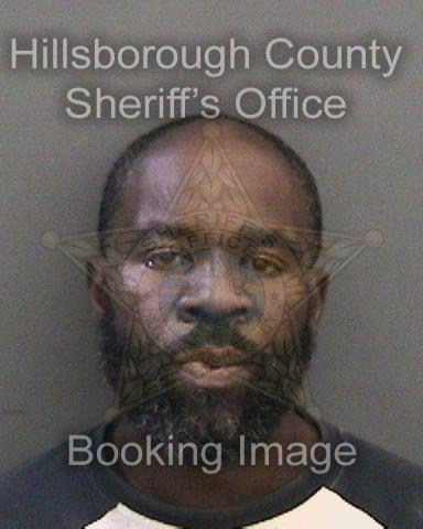 ANDRAE JAMELL JOHNSON of TAMPA booked for