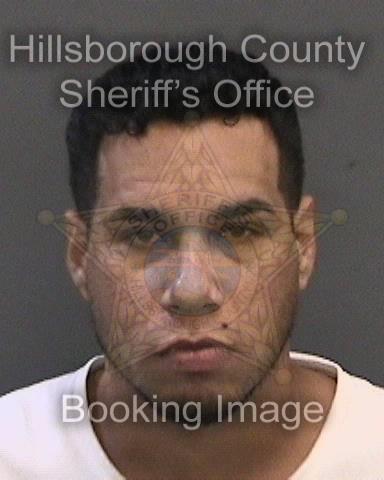 ANDY EMMANUEL NIEVES DAVILA of TAMPA booked for