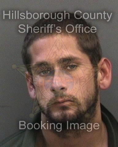 AUSTIN DAVID TAYLOR of TAMPA booked for