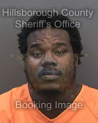 BRUCE TYRONE BROWN of TAMPA booked for