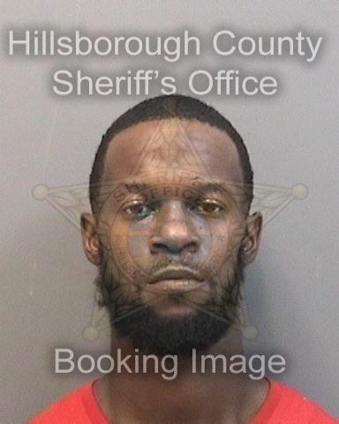 DARIUS DREW HARRISON of TAMPA booked for