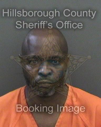 DARRYN SR JOHNSON of TAMPA booked for