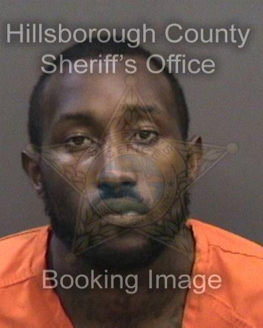 DEVIN NAIZER SAMPSON of TAMPA booked for