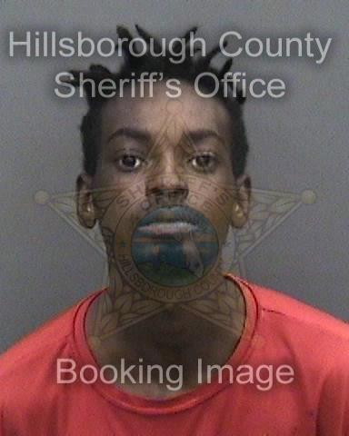 GREGORY LEON POLLOCK of TAMPA booked for
