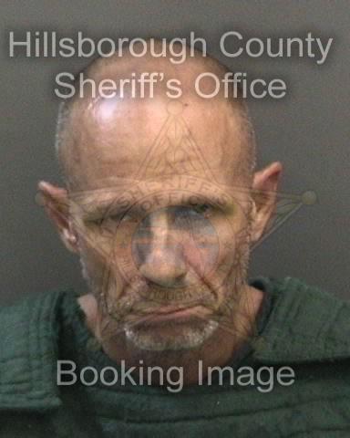 KENNETH IRISH LILES of TAMPA booked for