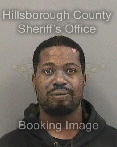 LARRY DEWAYNE JR HIGGINS of TAMPA booked for