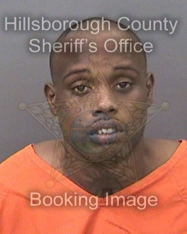 MICHAEL ANTIONE DAVIS of TAMPA booked for
