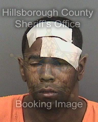 REGINALD STEFAN PICKENS of TAMPA booked for