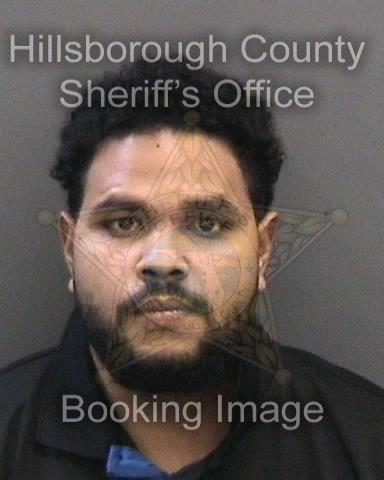 RICARDO ANWAR SOLIMAN of WIMAUMA booked for