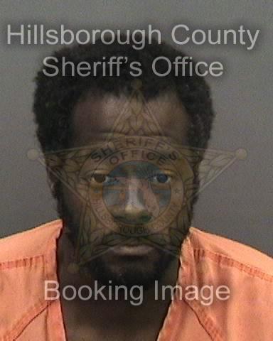 RODERICK EDWARD PALMER of TAMPA booked for