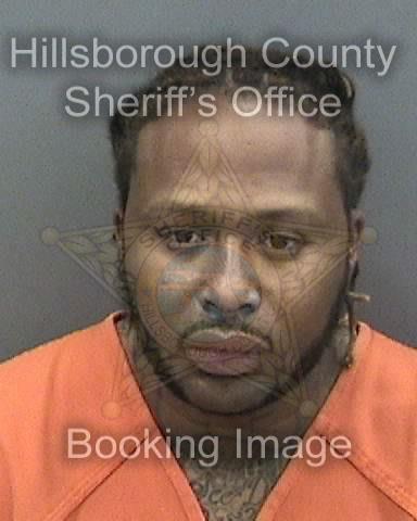 RODNEY MATTHEW BUCHANAN of RIVERVIEW booked for