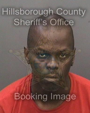 SAMUEL NATHANIEL HINES of TAMPA booked for