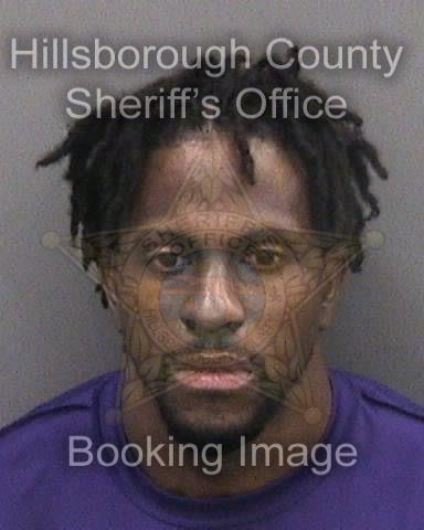 ANTHONY ERROL WITTER of RUSKIN booked for