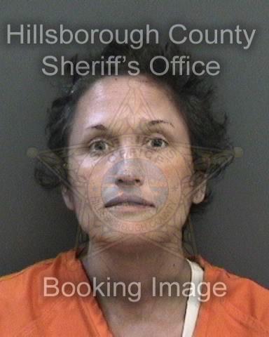 BETH ANN PLOTKIN of RIVERVIEW booked for