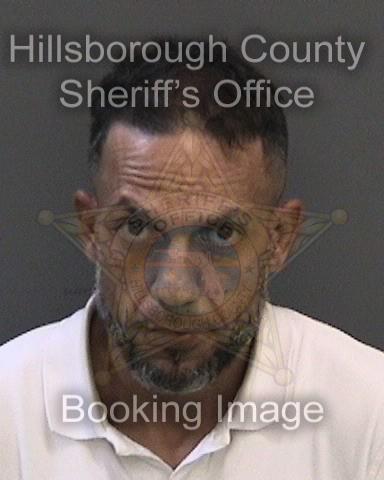 CARLOS IVAN GONZALEZVILLANUEVA of TAMPA booked for