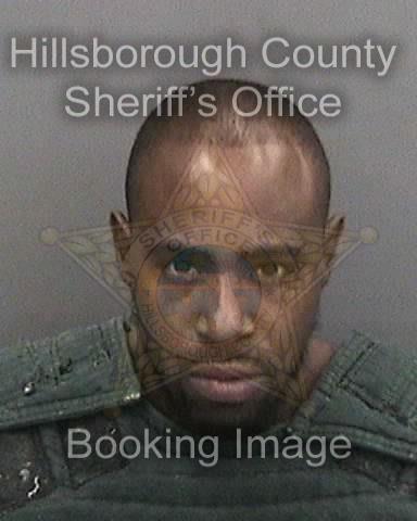 JAMIE LEE SCOTT of TAMPA booked for