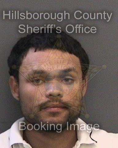 JASON ALEXIS CARDONA of TAMPA booked for