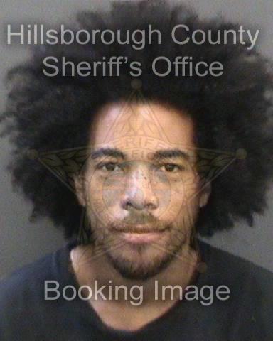 JONATHAN MICHAEL ANDRE of RIVERVIEW booked for
