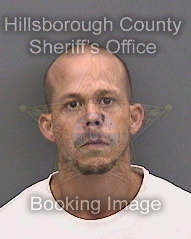 JOSHUA ALLEN CHAFIN of LUTZ booked for