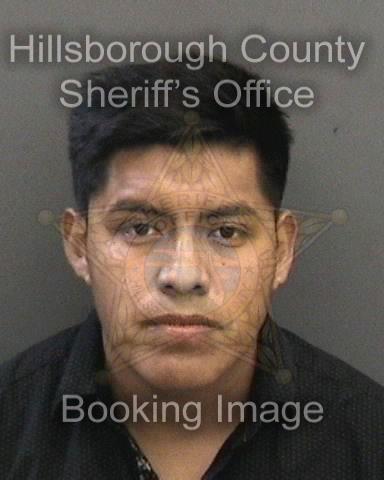 JULIO PEDRAZA PENA of HOLLIDAY booked for
