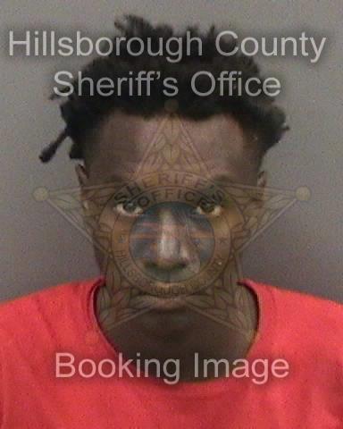JULIUS JURELLE BURLEY of TAMPA booked for