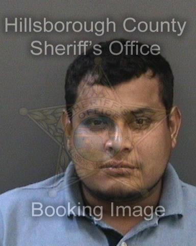 LESTER NOEL BRAVO FONSECA of TAMPA booked for