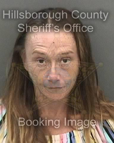 LISA MARIE BROWN of TAMPA booked for