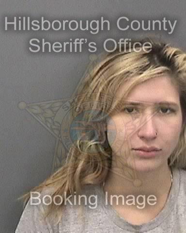 MACEY MARIE HOLSINGER of TAMPA booked for