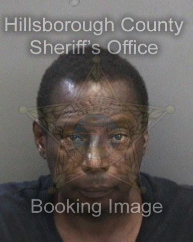 MARK ANTHONY TAYLOR of TAMPA booked for
