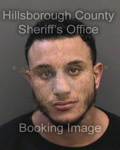 MARK RAOUF GUIRGUIS of CLEARWATER booked for
