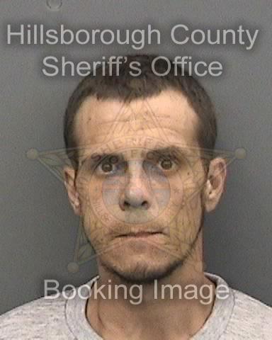 MICHAEL JOSEPH MACHIN of TAMPA booked for