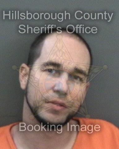 RYAN MICHAEL CATLEDGE of LARGO booked for