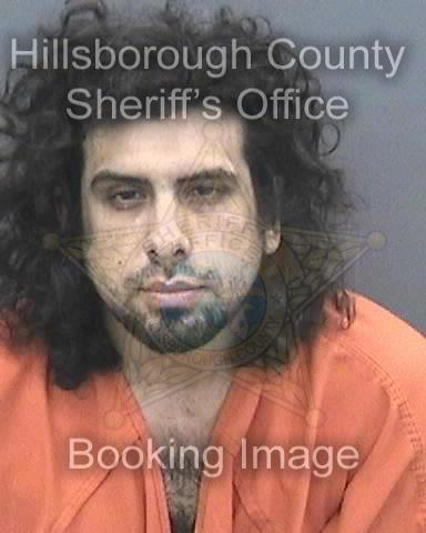 STEPHEN JAMES KING of SEFFNER booked for