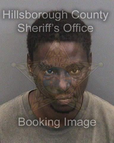 STEVEN DOW of PLANT booked for
