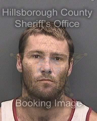 ALEC JACOB HALVERSON of SEFFNER booked for