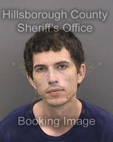 ANDREW ROBERT MAYNARD of TAMPA booked for