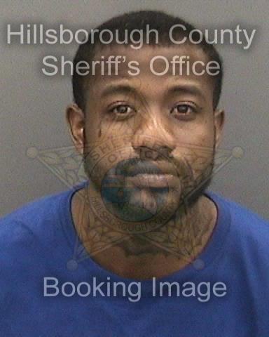 BRIAN RICKS of TAMPA booked for
