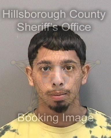DAVID RAFAEL ANTONETTI of RIVERVIEW booked for