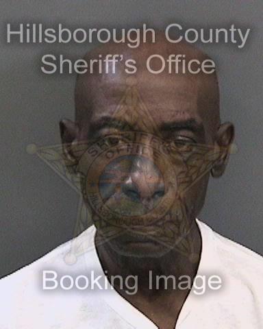 EDWIN HOWARD WOODARD of TAMPA booked for