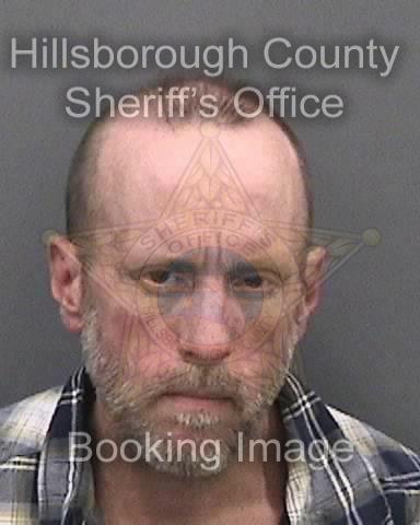 JOHN PATRICK HARNETT of VALRICO booked for