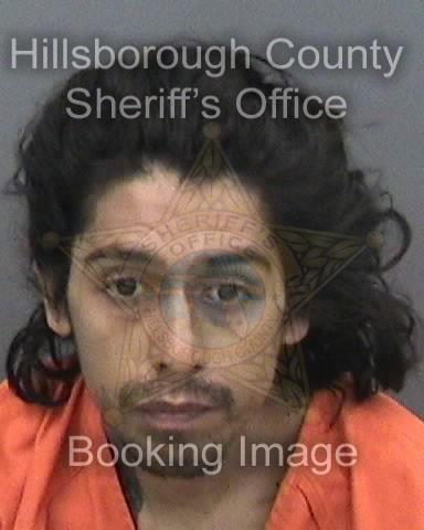 JORGE ALBERTO JR TORRES of PLANT booked for